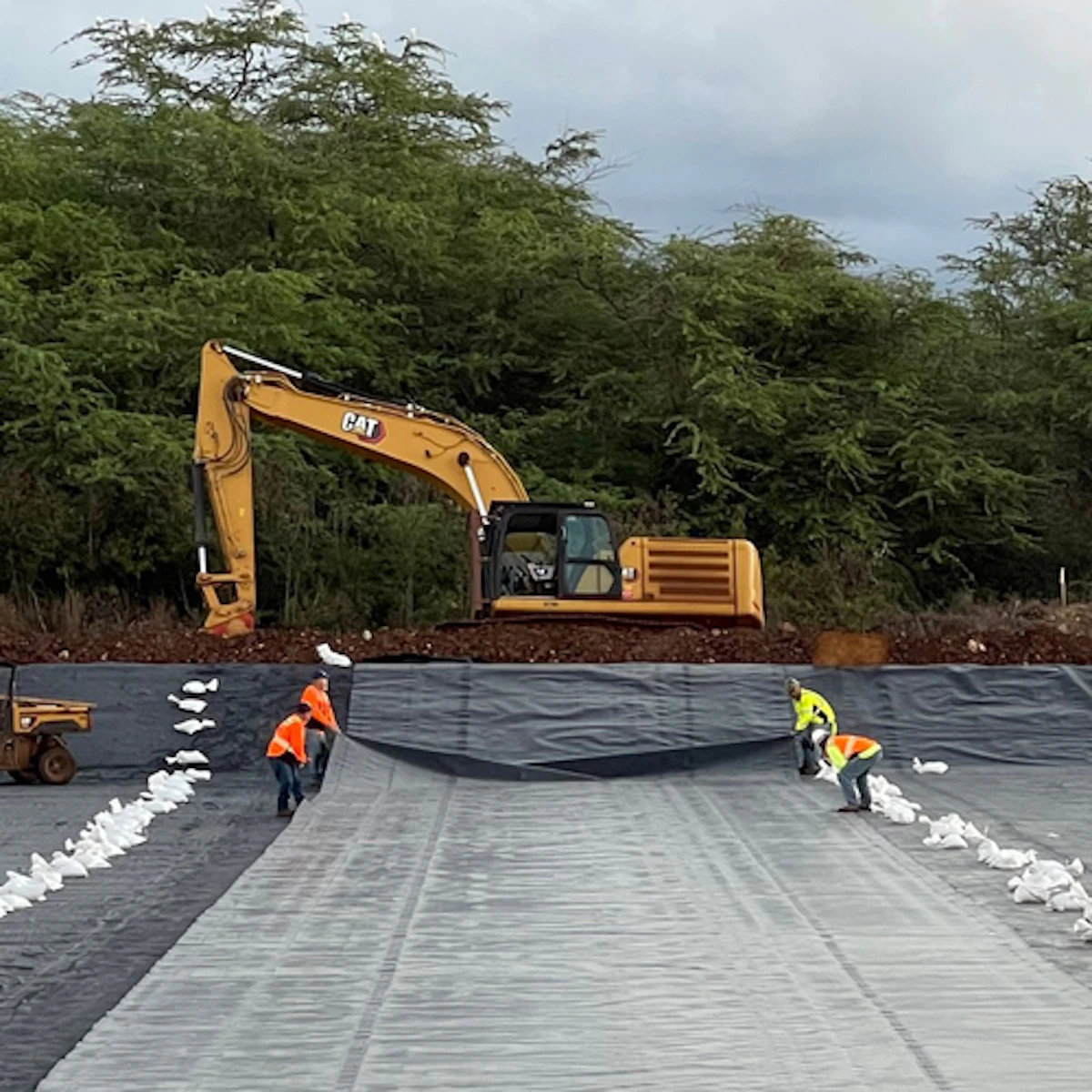 Environmental Services & Consulting | CAPE