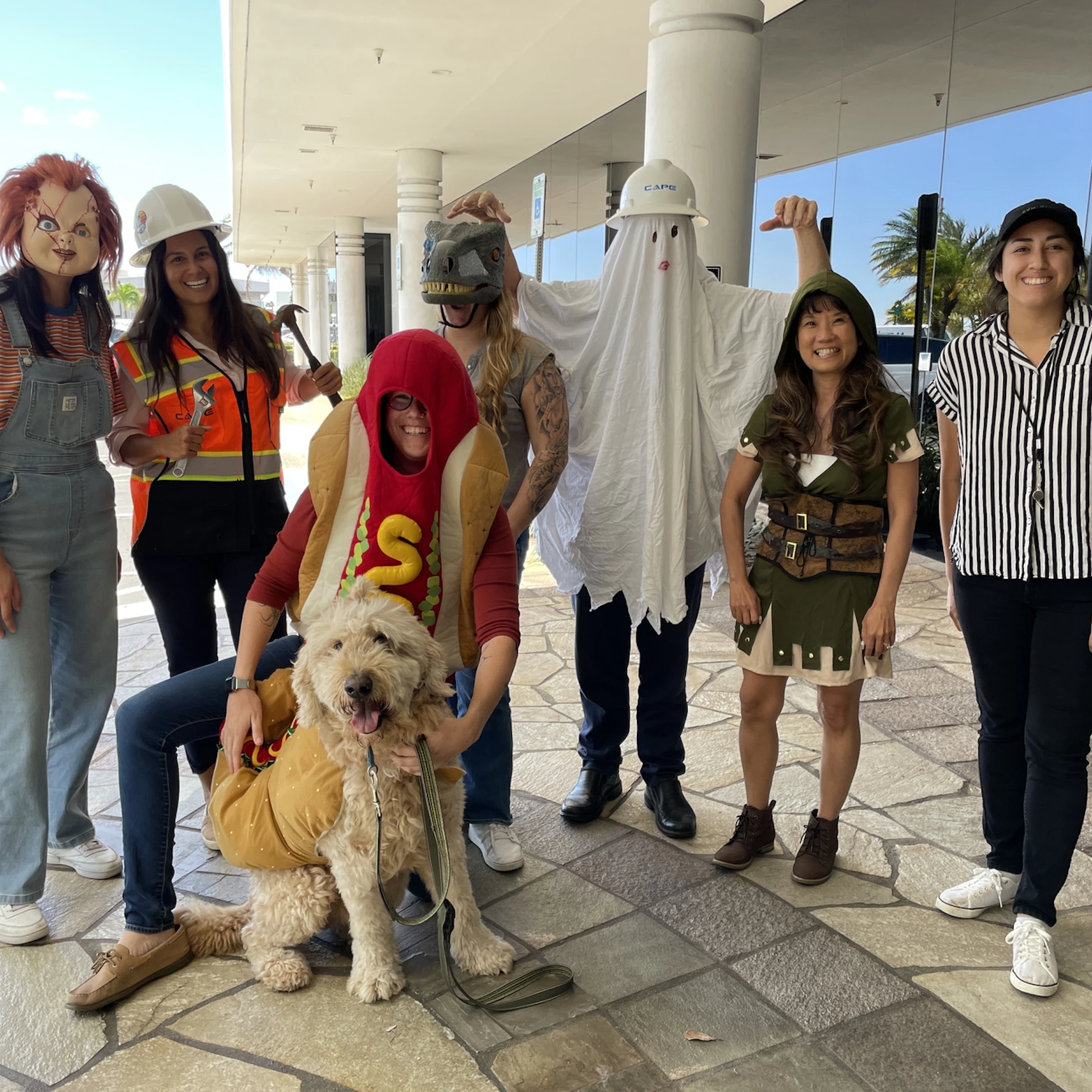 About CAPE | Environmental Consultants